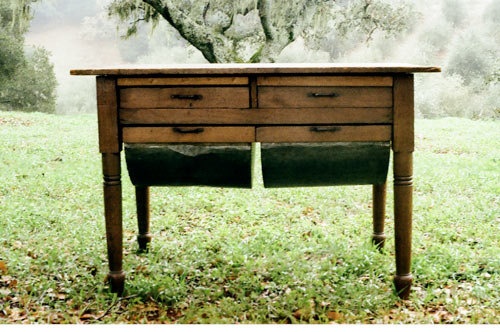 playing possum. – q is for quandie