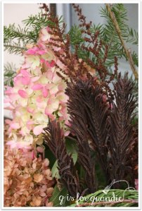 winter window boxes. – q is for quandie