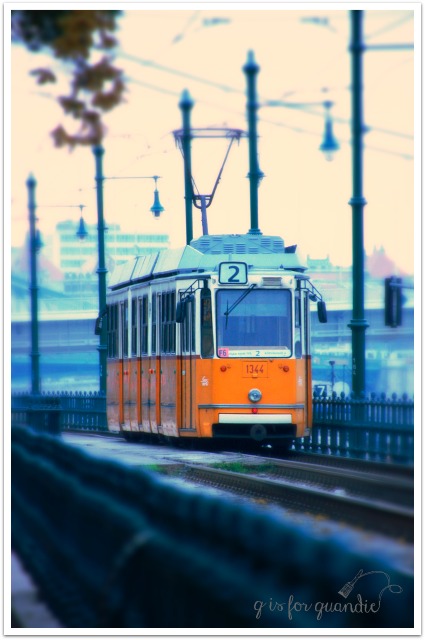 miniature budapest. – q is for quandie