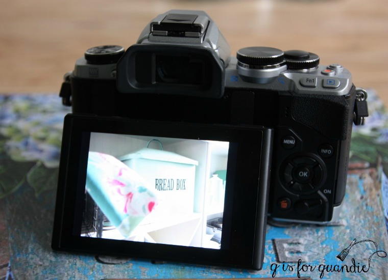 mirrorless v. DSLR. – q is for quandie