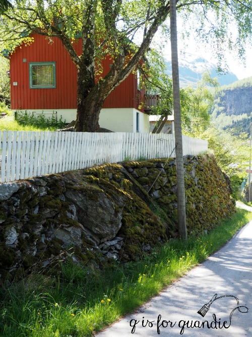 mirrorless v. DSLR. – q is for quandie