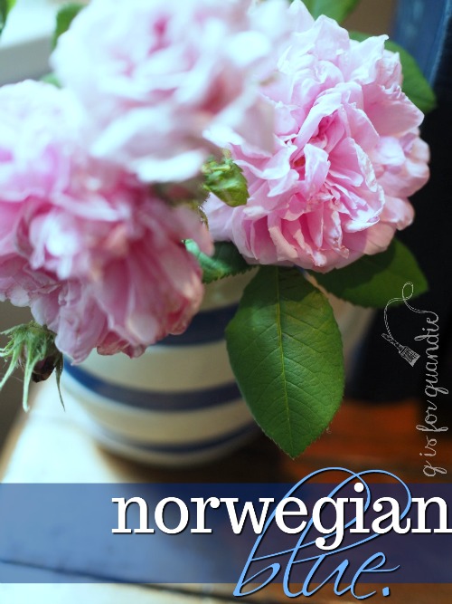 norwegian blue. – q is for quandie