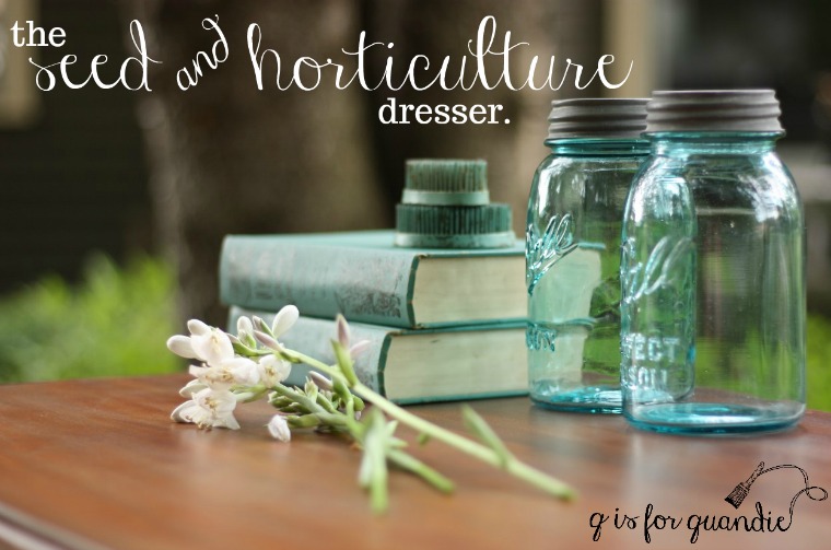 the seed & horticulture dresser. – q is for quandie