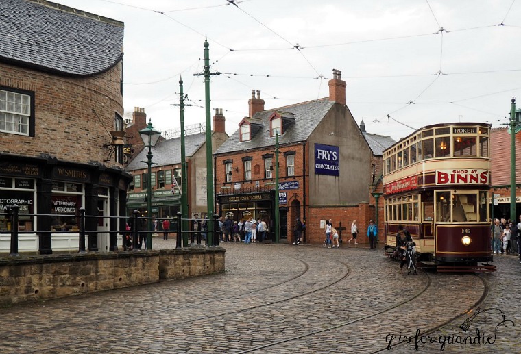 the beamish. – q is for quandie