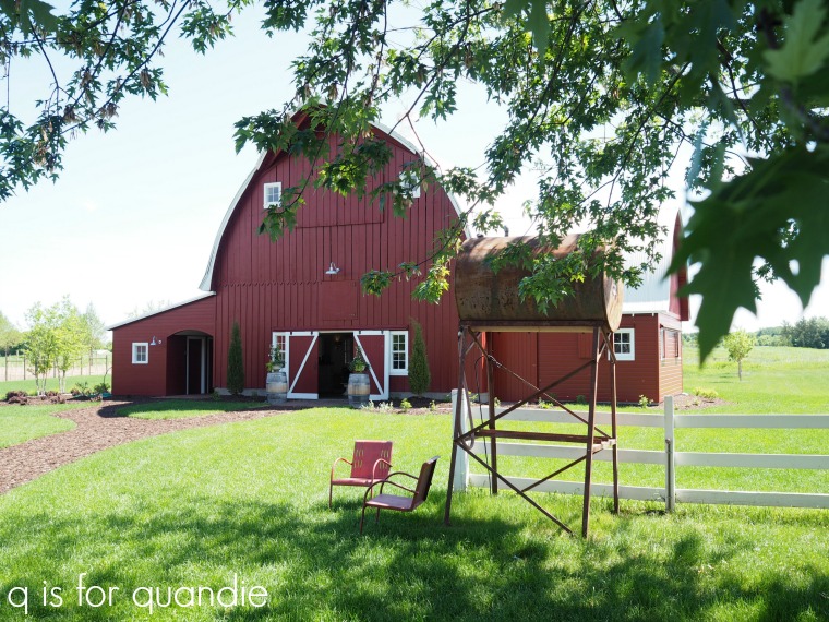 a quick Sunday post. – q is for quandie