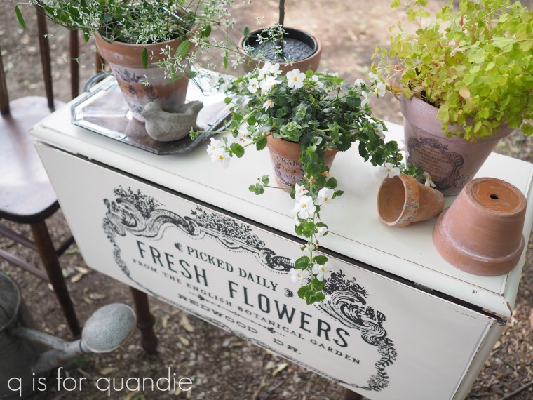 the fresh flowers table. – q is for quandie