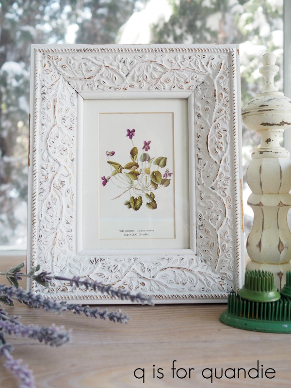shades of white. – q is for quandie