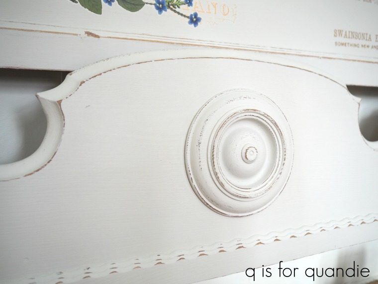 the spring flowers bed. – q is for quandie