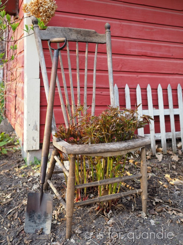 planter chairs. – q is for quandie
