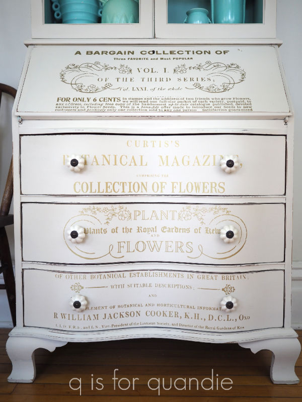 the flower collector secretary. – q is for quandie