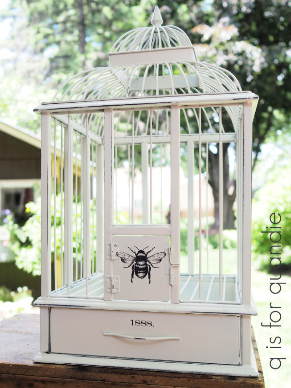 la cage. – q is for quandie