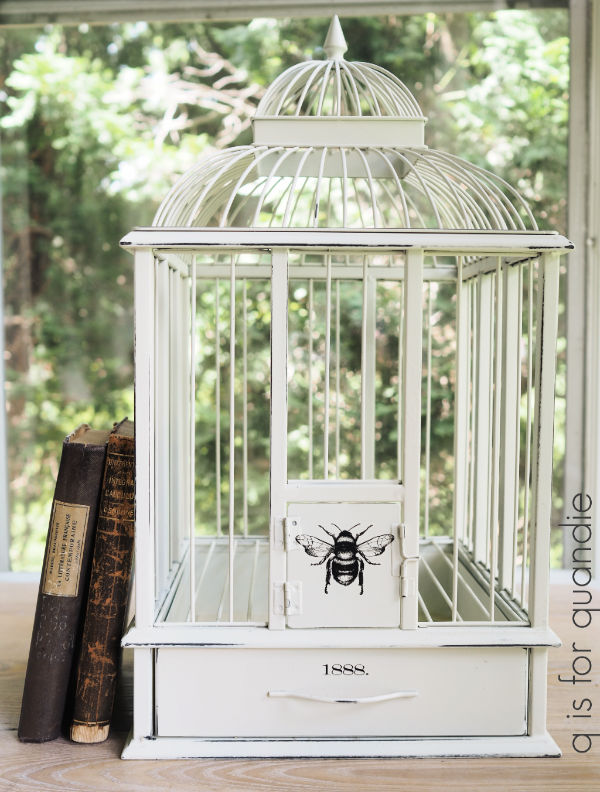 la cage. – q is for quandie