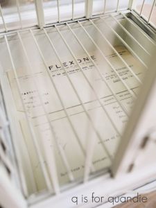 la cage. – q is for quandie