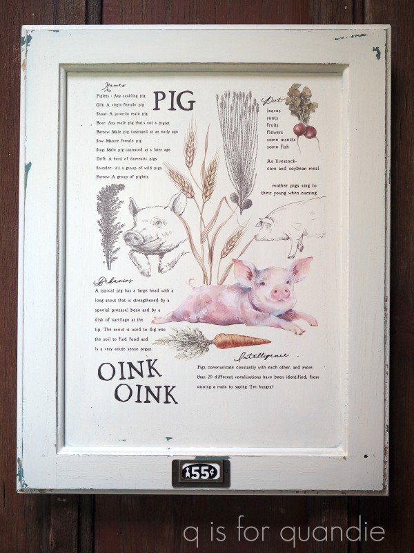 some pig! – q is for quandie