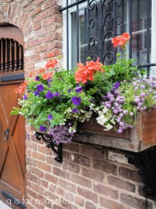 the window boxes of charleston. – q is for quandie