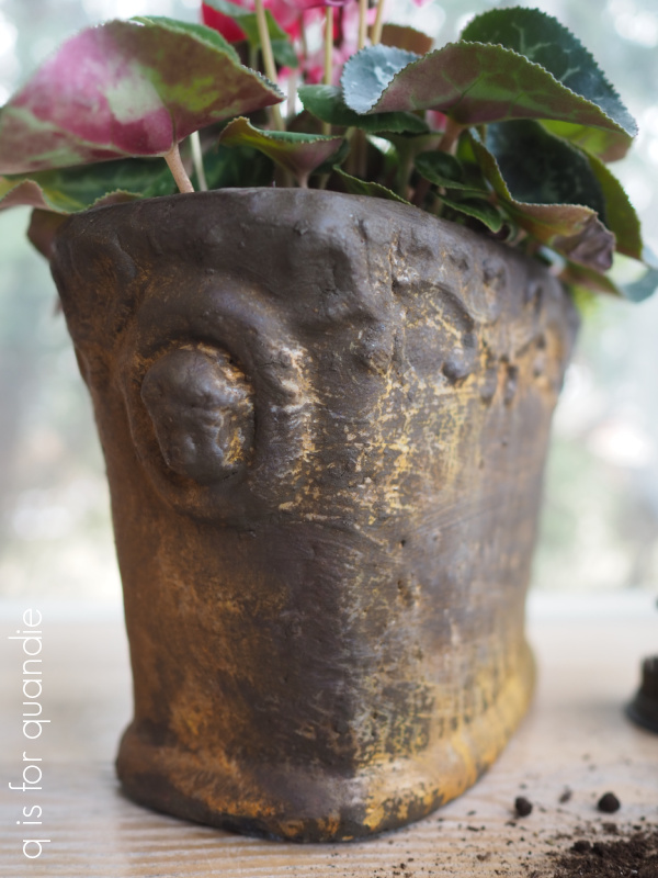 rusty garden stuff. – q is for quandie
