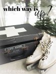 which way is up? – q is for quandie