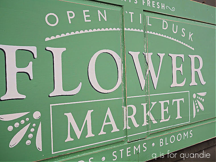 on the flip side. – q is for quandie