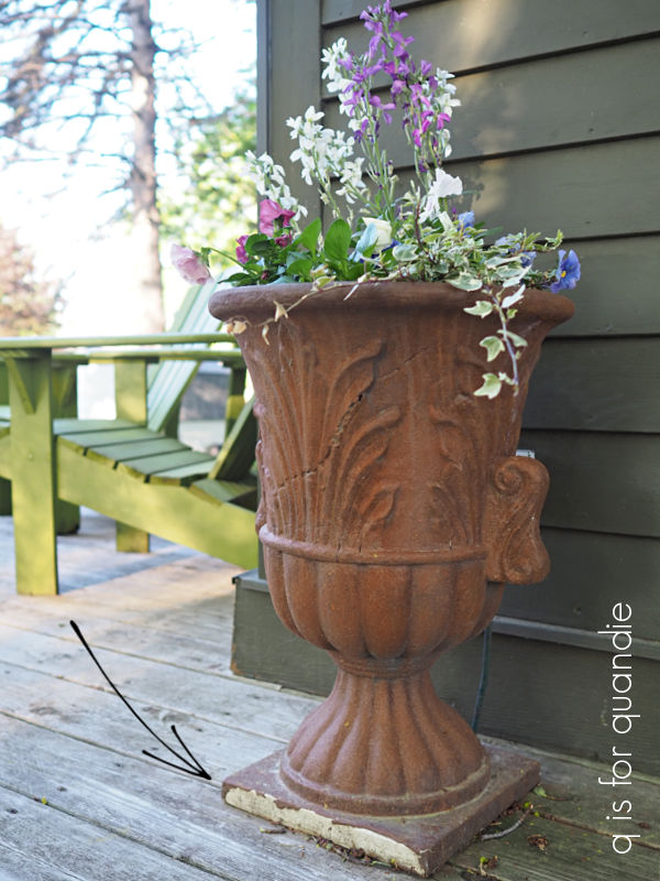 chipped pot – q is for quandie