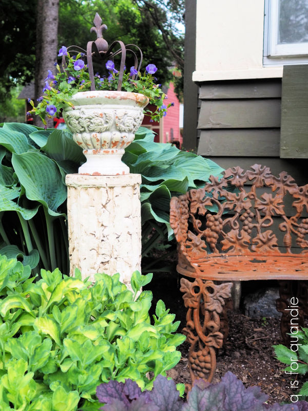 half fancy. – q is for quandie