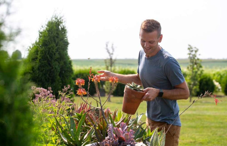 wyse guide – q is for quandie