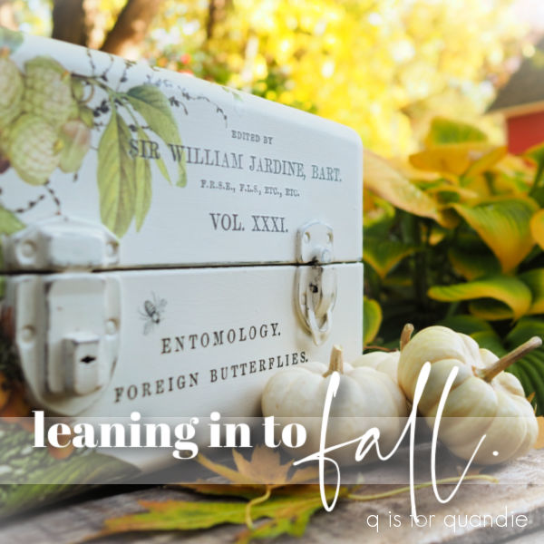 toolboxes. – Page 2 – q is for quandie