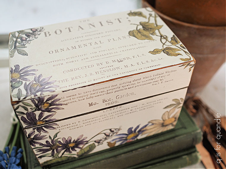 better safe than sorry. – q is for quandie