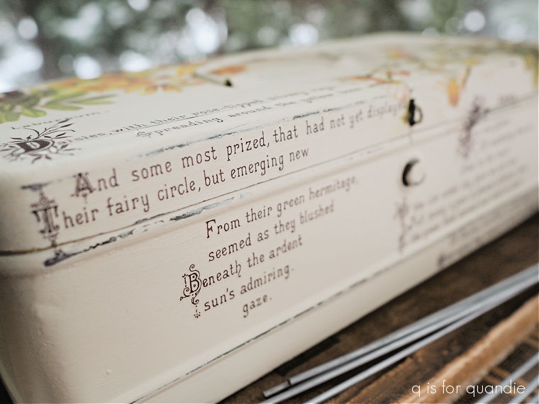 fresh as a daisy. – q is for quandie