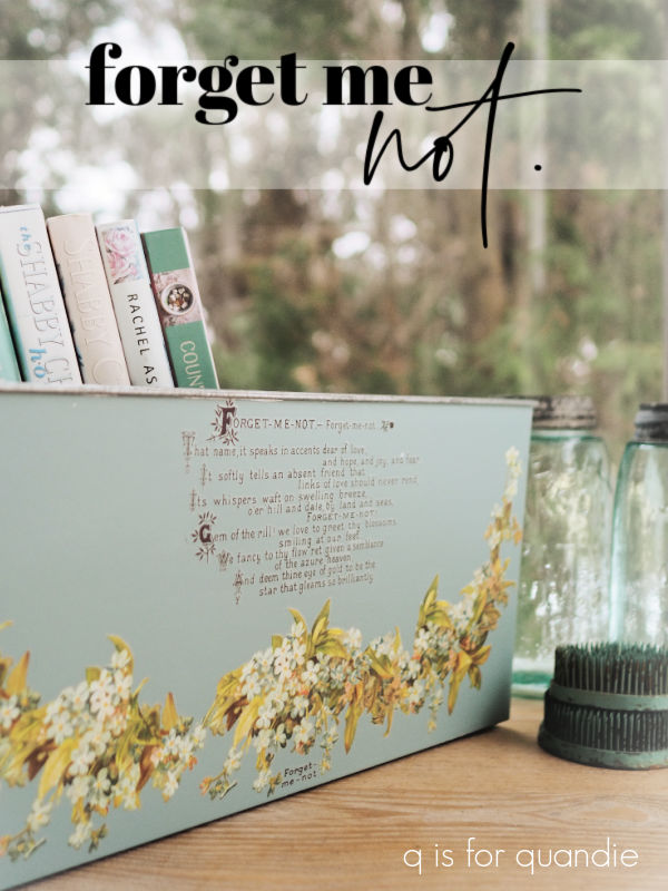forget me not. – q is for quandie