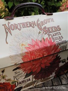 the northern grown toolbox. – q is for quandie