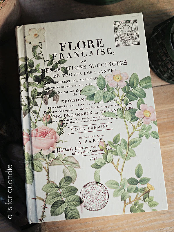 q is for quandie – Page 2 – from a vintage vantagepoint.