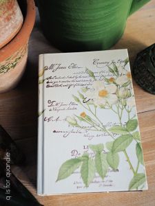 q is for quandie – Page 2 – from a vintage vantagepoint.